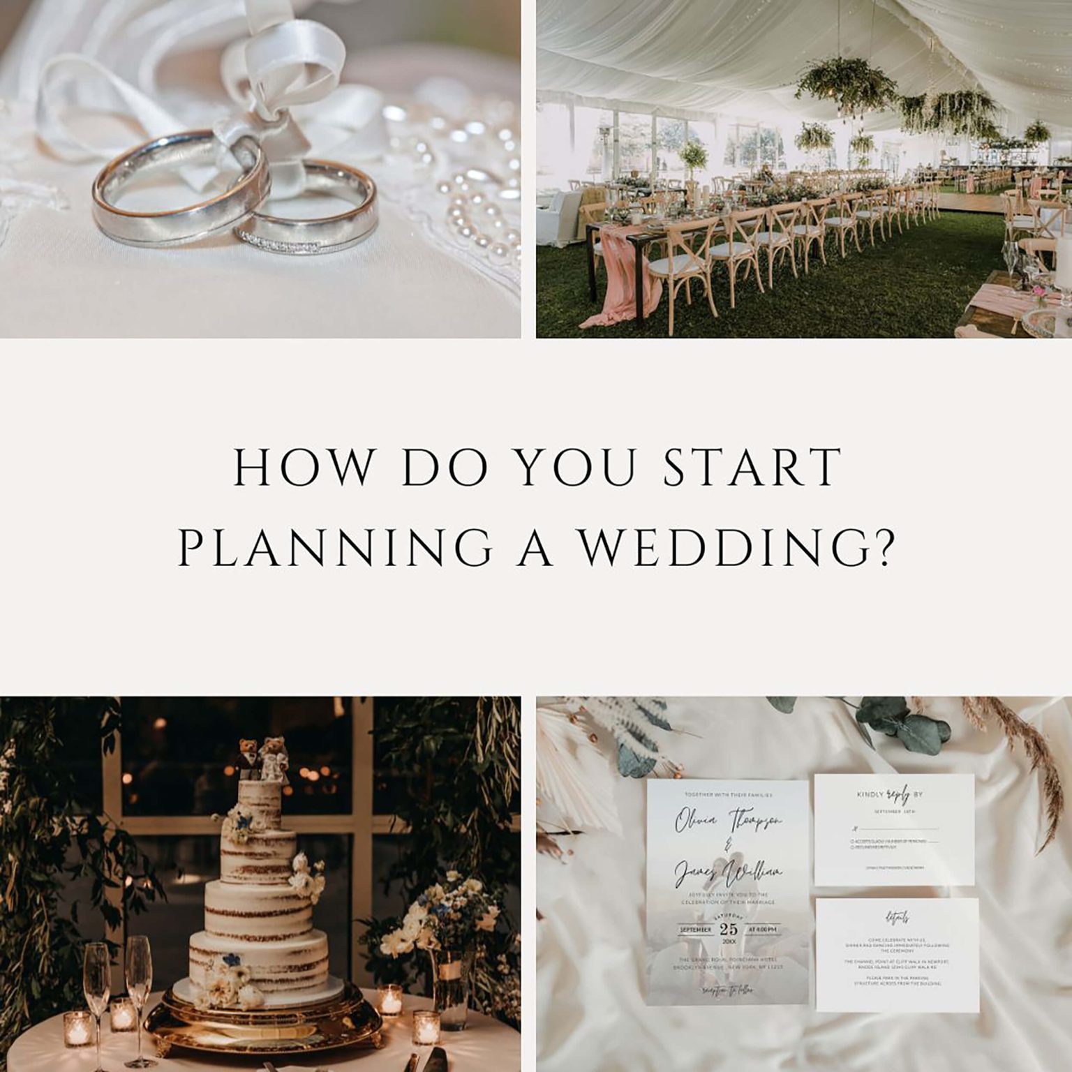 How Do You Start Planning A Wedding? A Step-by-Step Guide To Your Dream ...